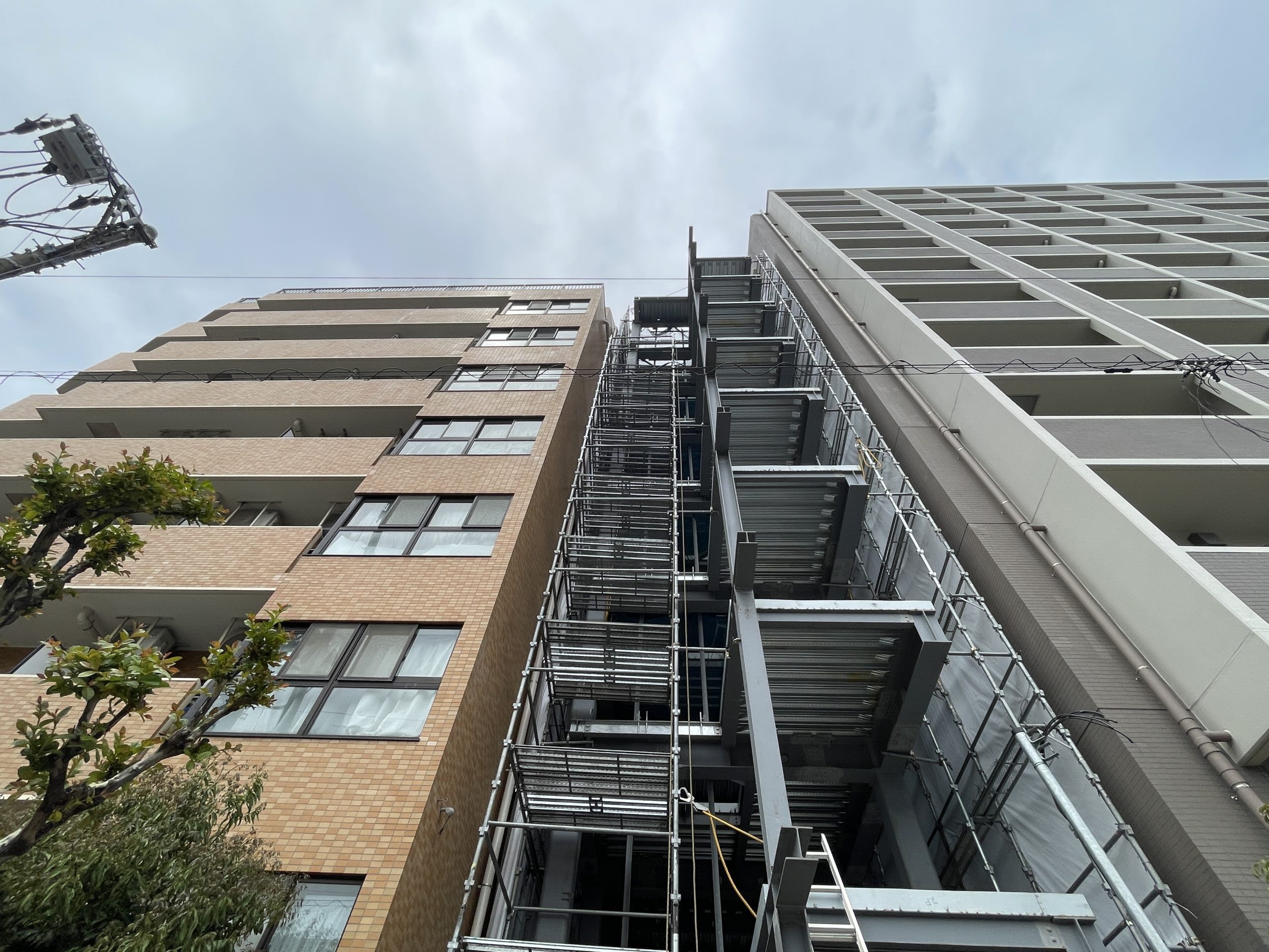 板橋テナントビル 上棟 - sside建築設計事務所